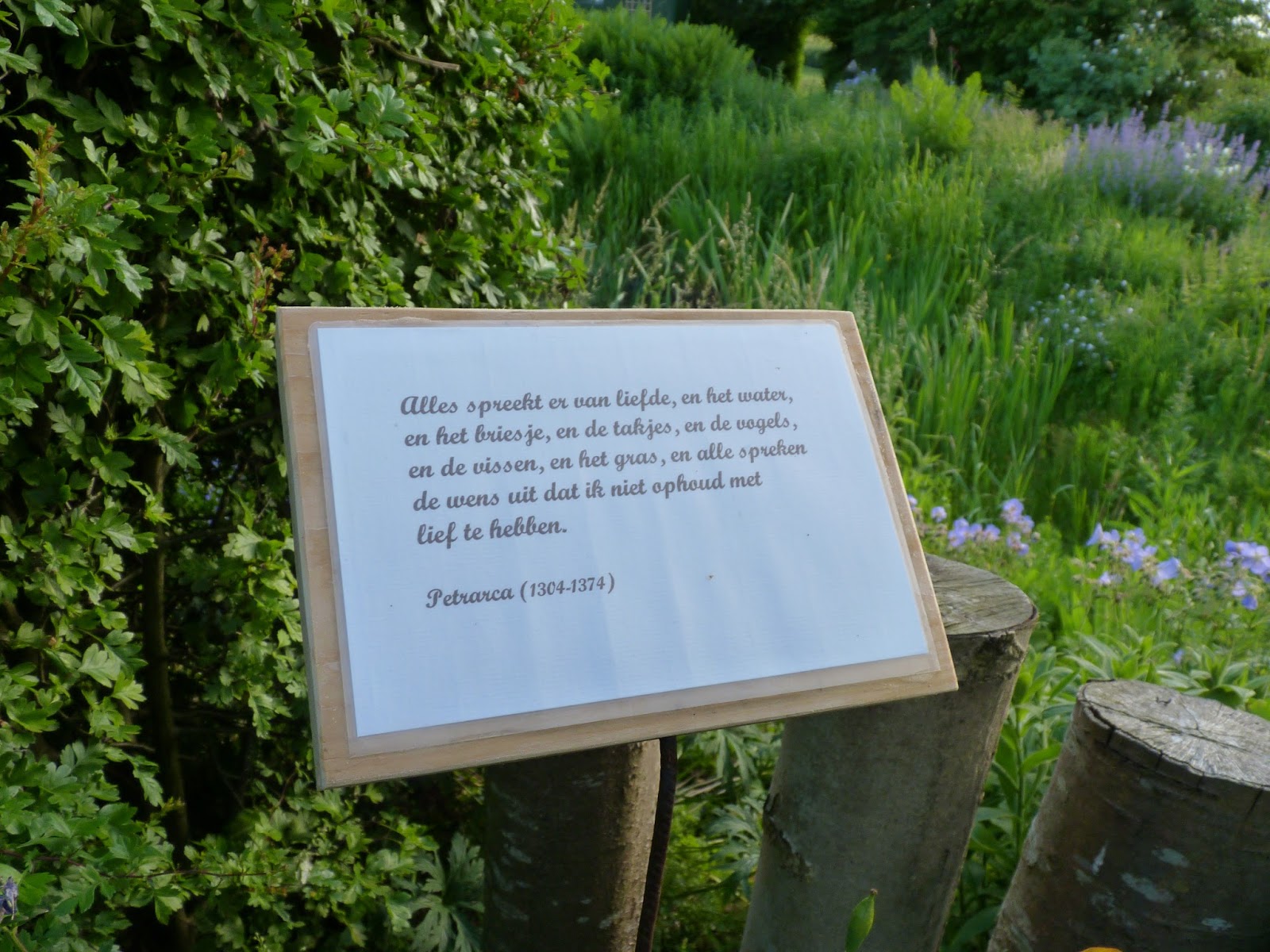 De Houtstek: gedicht van de maand