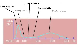 Automation in hematology Part (2)