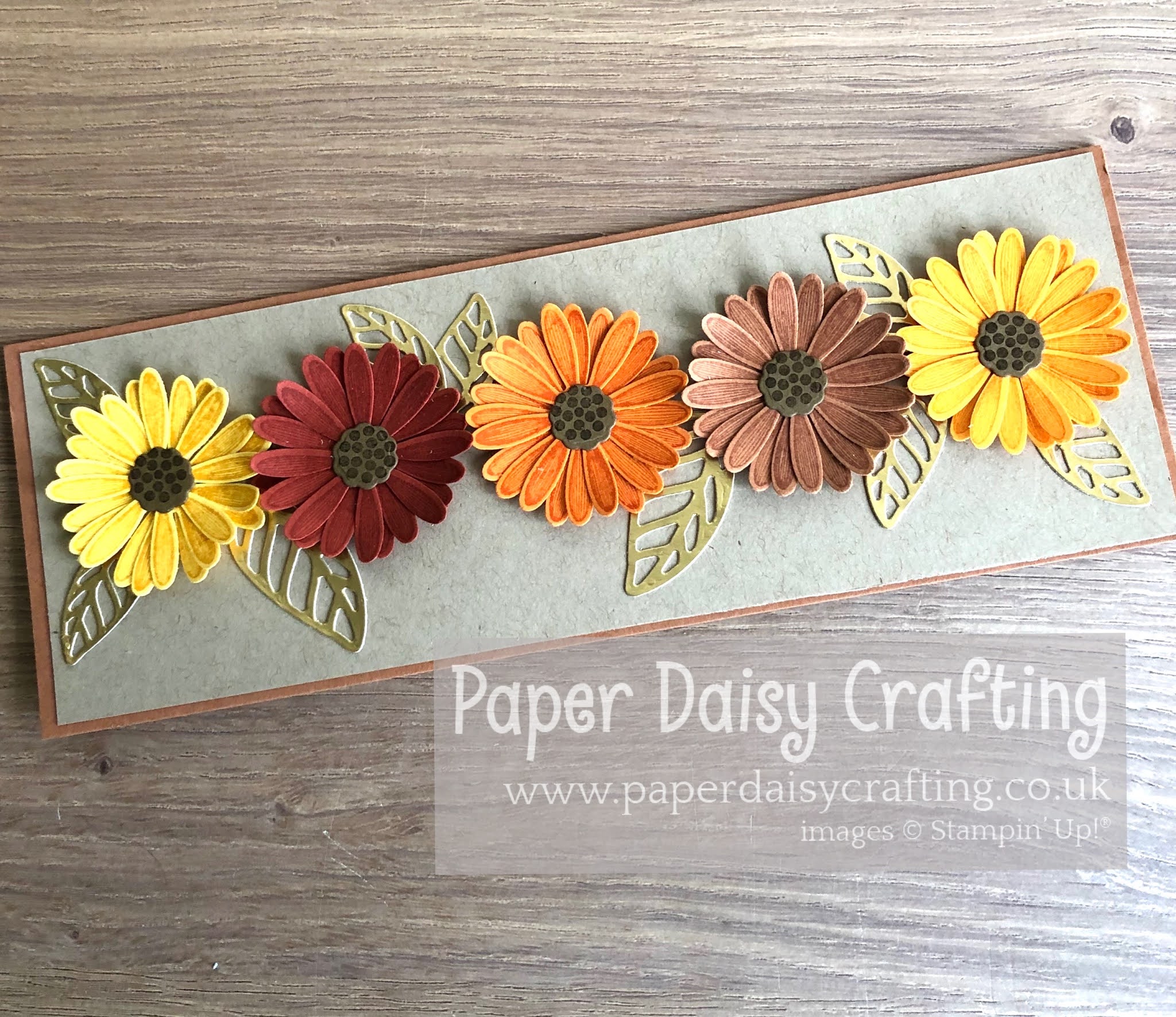 Paper Daisy Crafting: Brightly Coloured Daisy Punch card - Video Tutorial