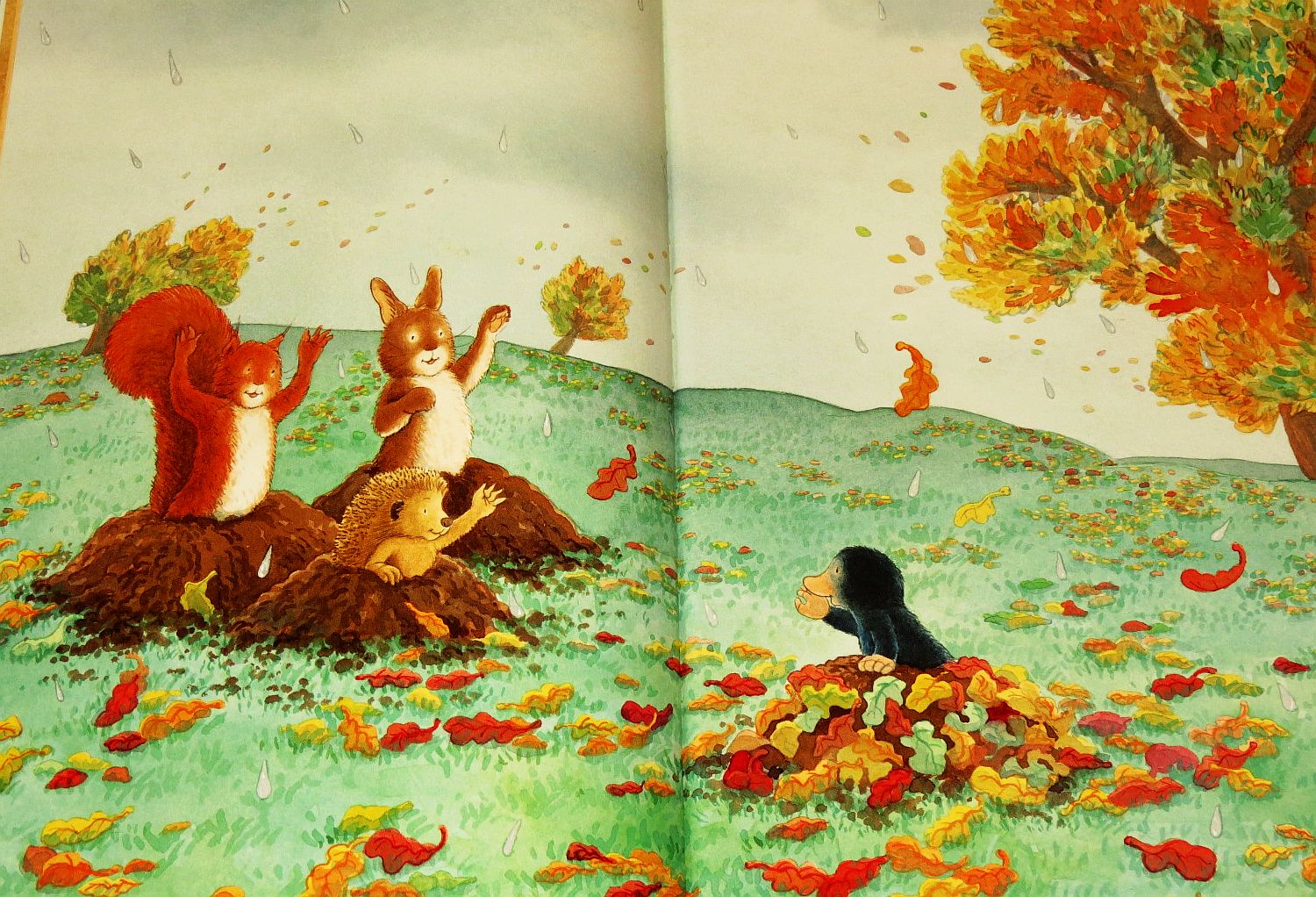 Activitati educative de la suflet la suflet: Veverita si proviziile de ...