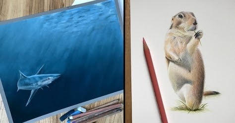 Design Stack: A Blog about Art, Design and Architecture: Wildlife and ...