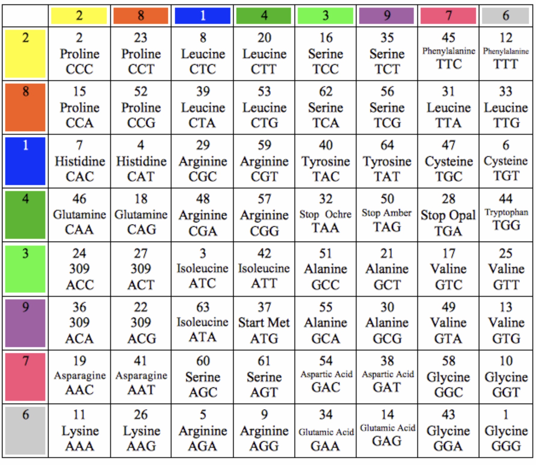 Human Amino Acid Codon Table at Oscar Permenter blog