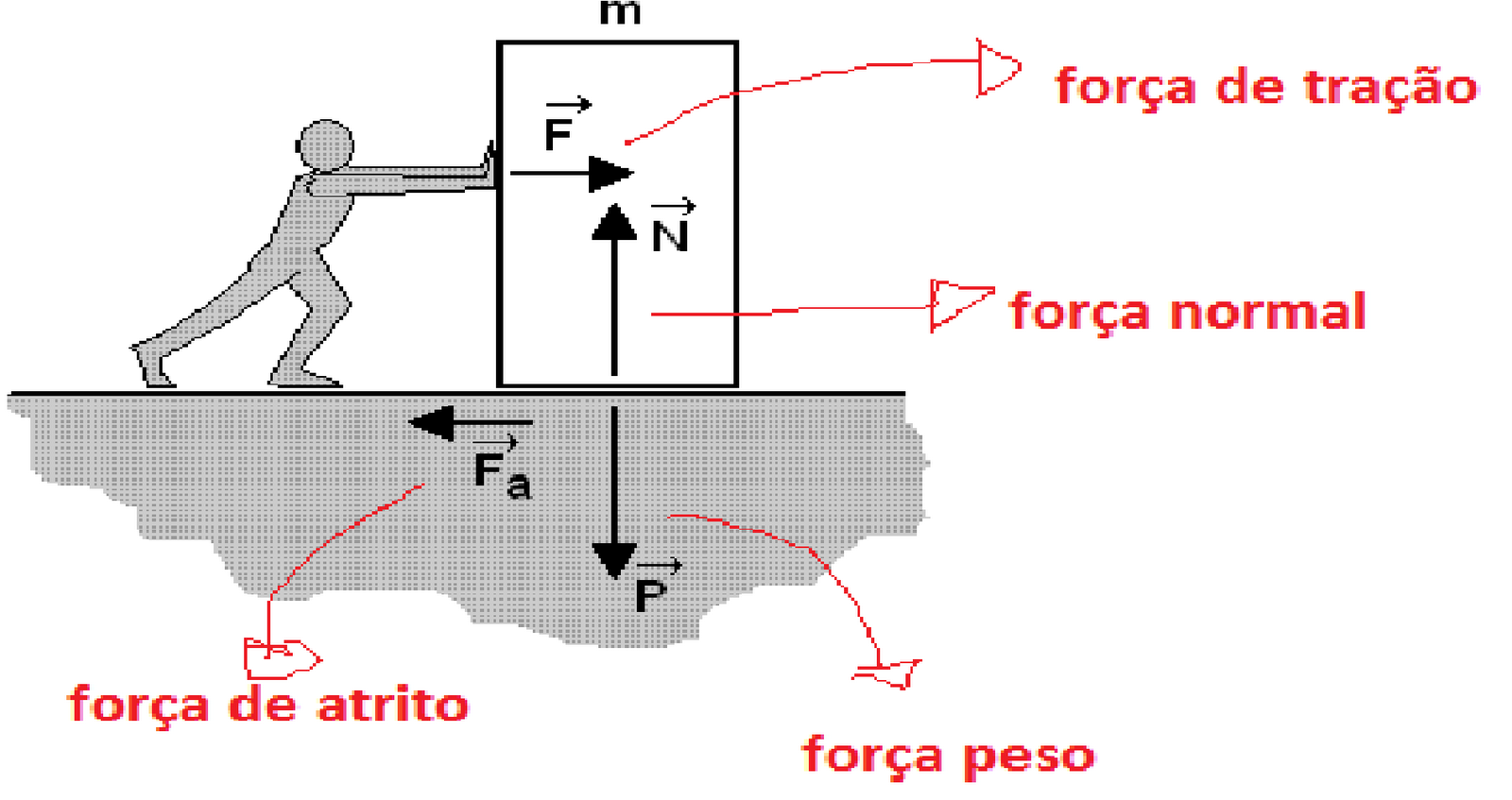Ciências Físico-Químicas: Leis de Newton