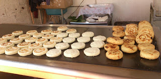 La historia de las plantas : 2019