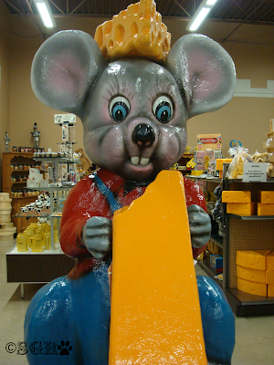 Hanging Out at the Cheese Castle - Golden Woofs