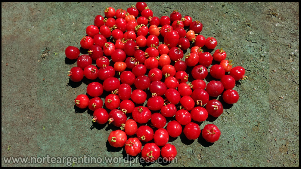 Cultura Guaraní: ÑANGAPIRÍ