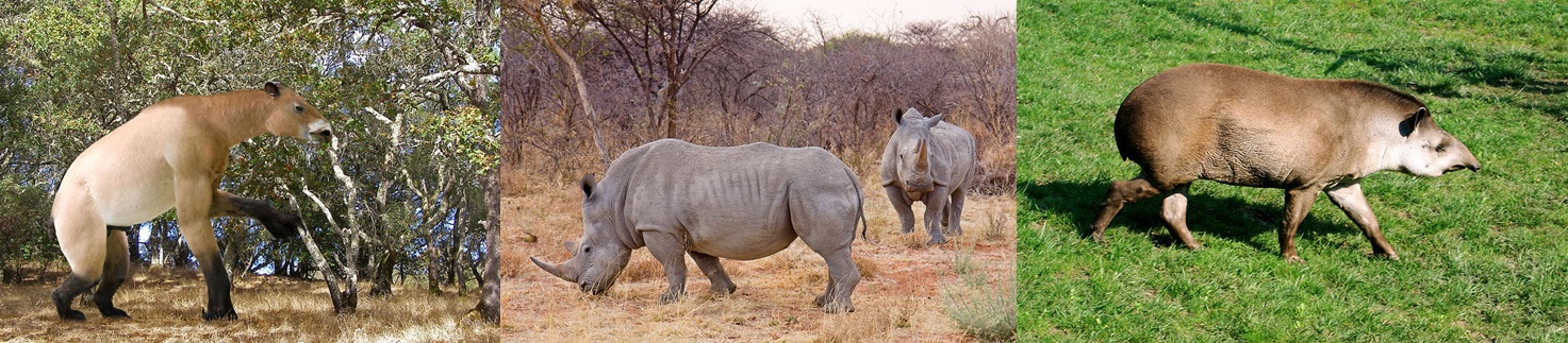Palaeos, la historia de la Vida en la Tierra: agosto 2013