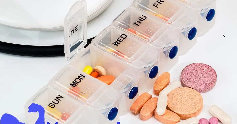 Manfaat Suplemen Whey Protein - INFOPEDIA