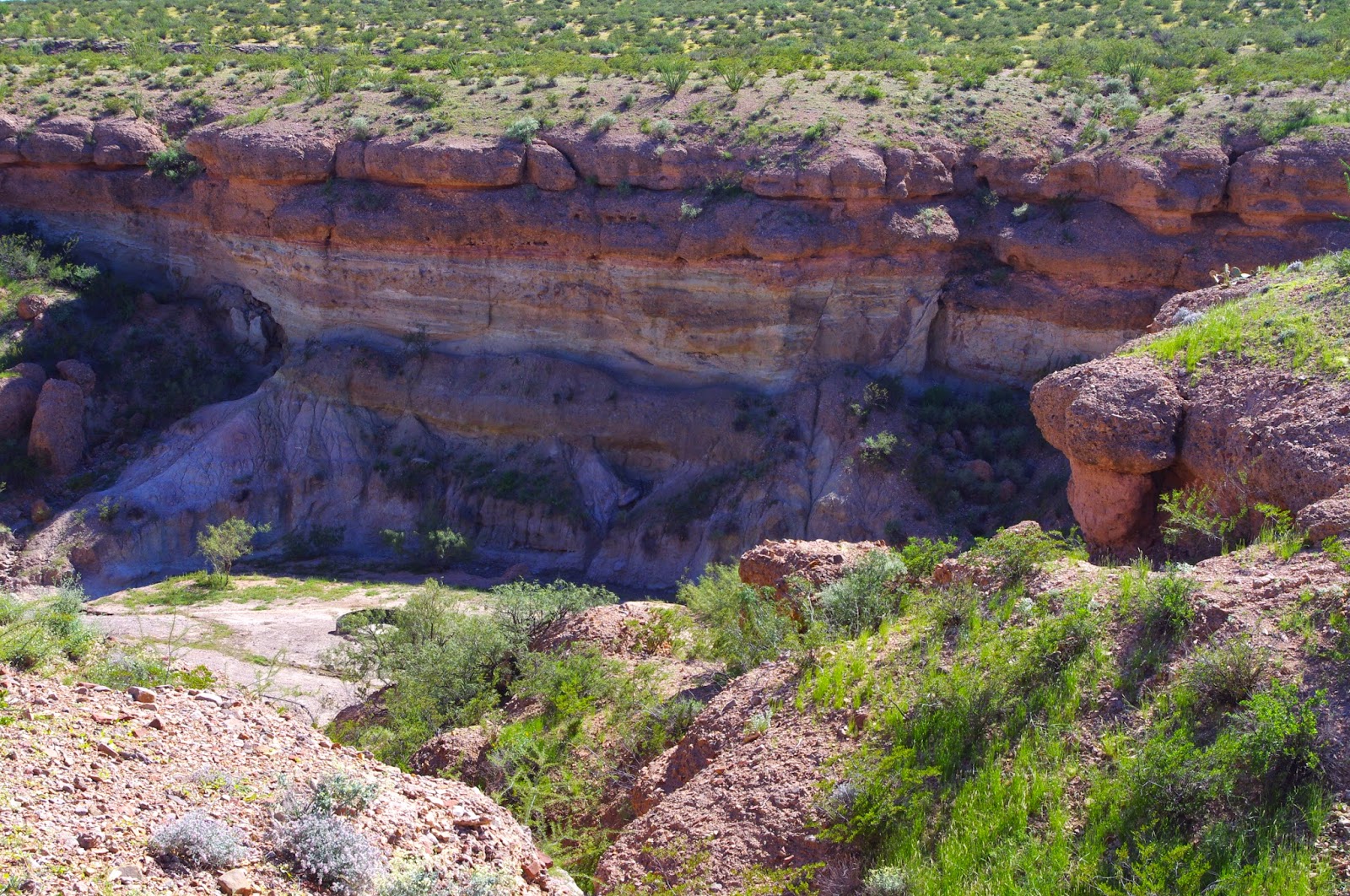Southern New Mexico Explorer: Spring Canyon- Robledo Mountains