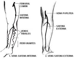 semiologia quirurgica: EXAMEN FISICO DE LAS EXTREMIDADES Y EXAMEN DE ...