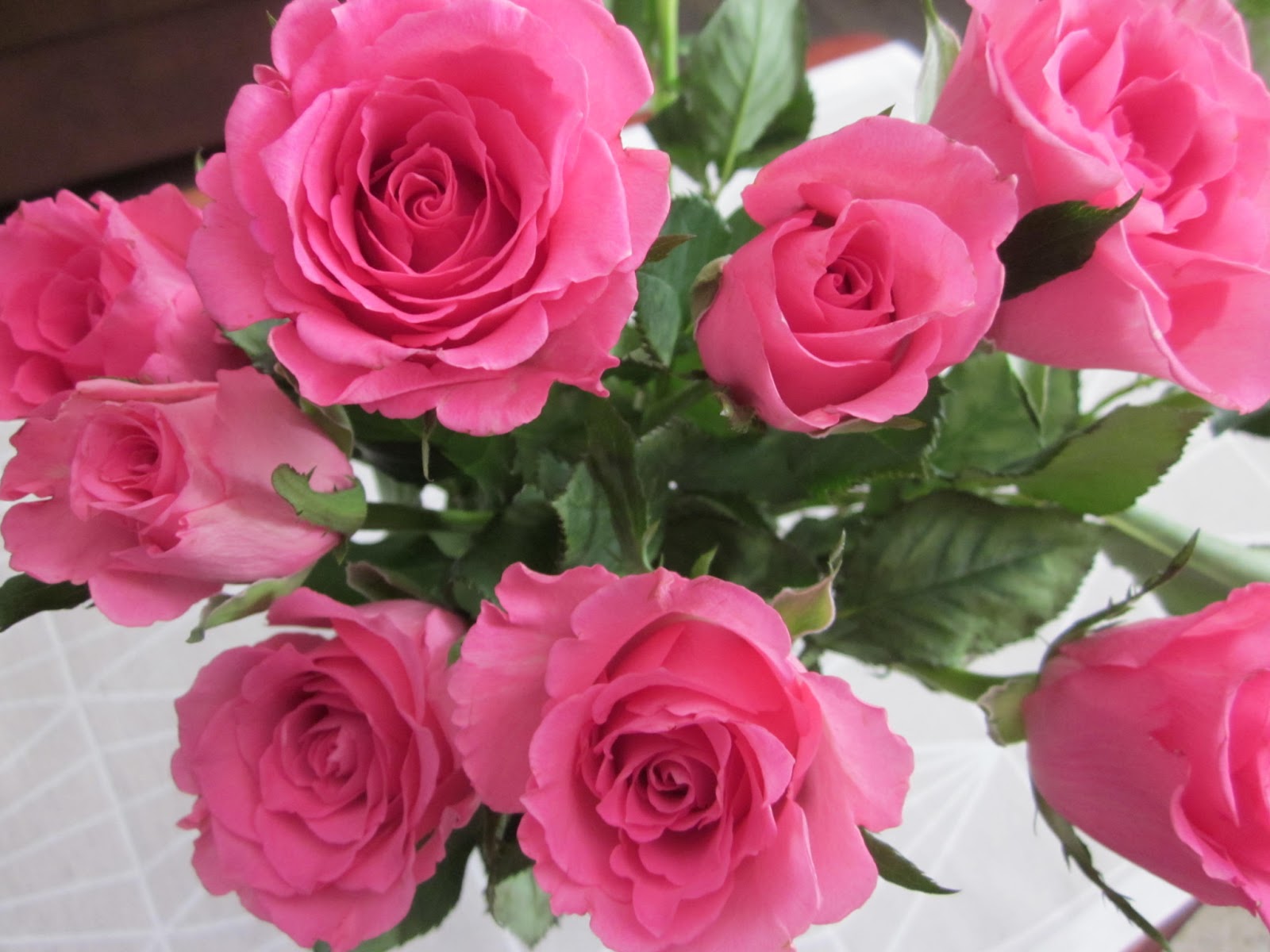 Atelier of Anneli: Ruusuja hopeamaljassa