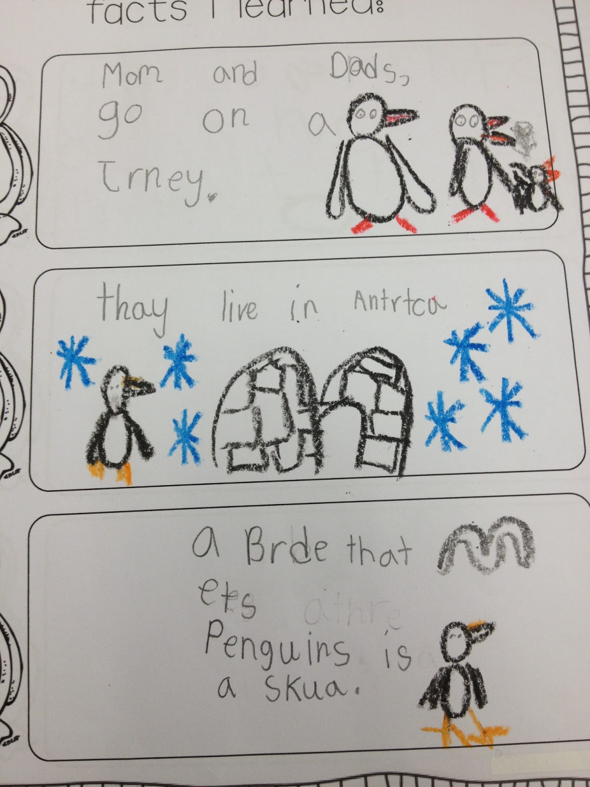 Keepin' It Kool In KinderLand: 100th Day, Penguins, and SO Much More!