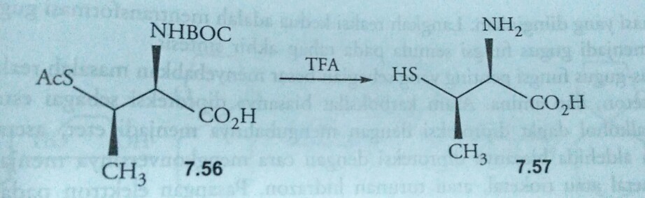 Modifikasi Gugus Amin dan Imin