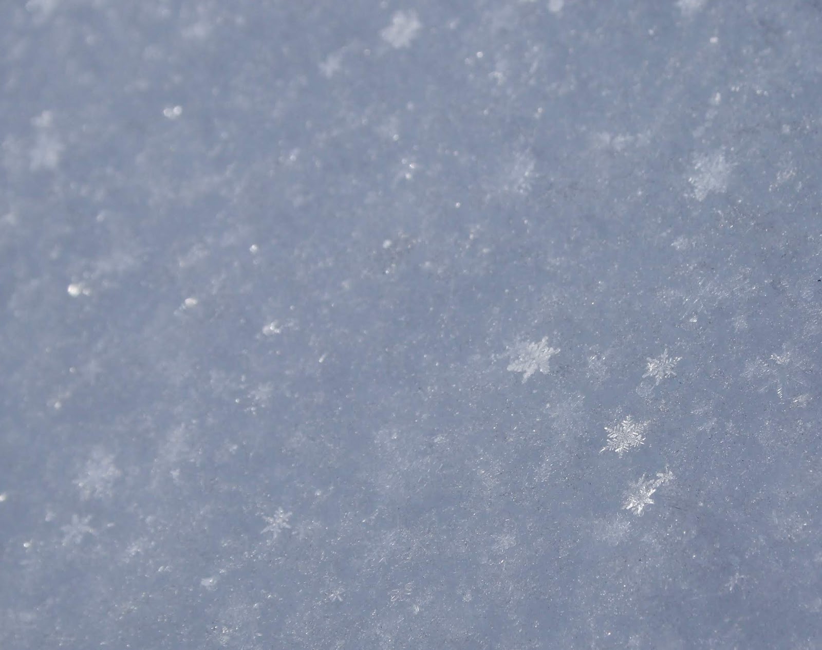 Fy Nyth...: Winter Crystals