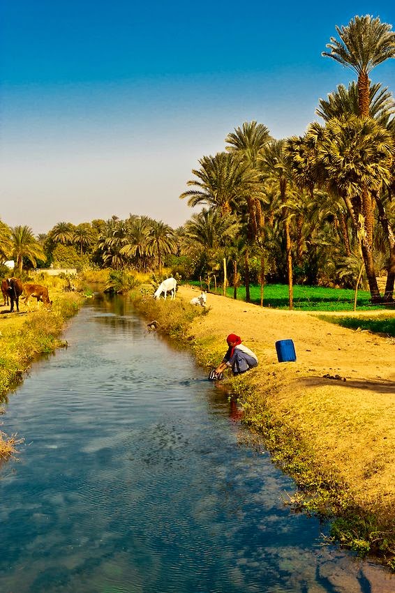 Nubia City - Vertical Destinations