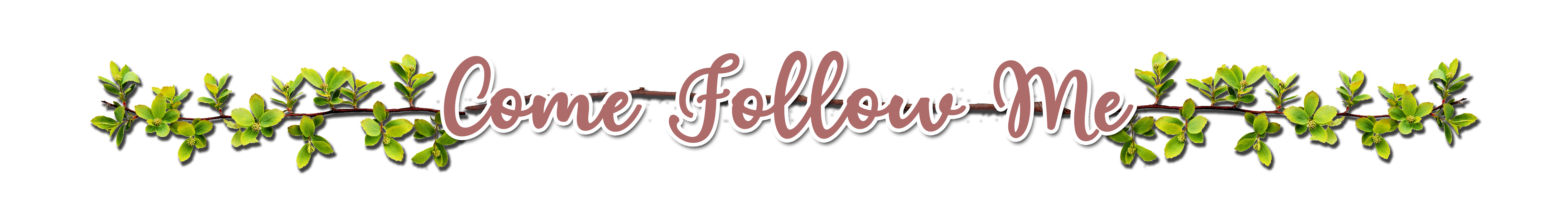 Lindy's Homeschool: Come Follow Me 2021