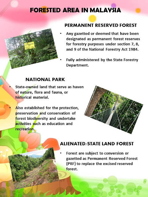 Introduction to Forest Science: GROUP 3 - FORESTED AREA IN MALAYSIA