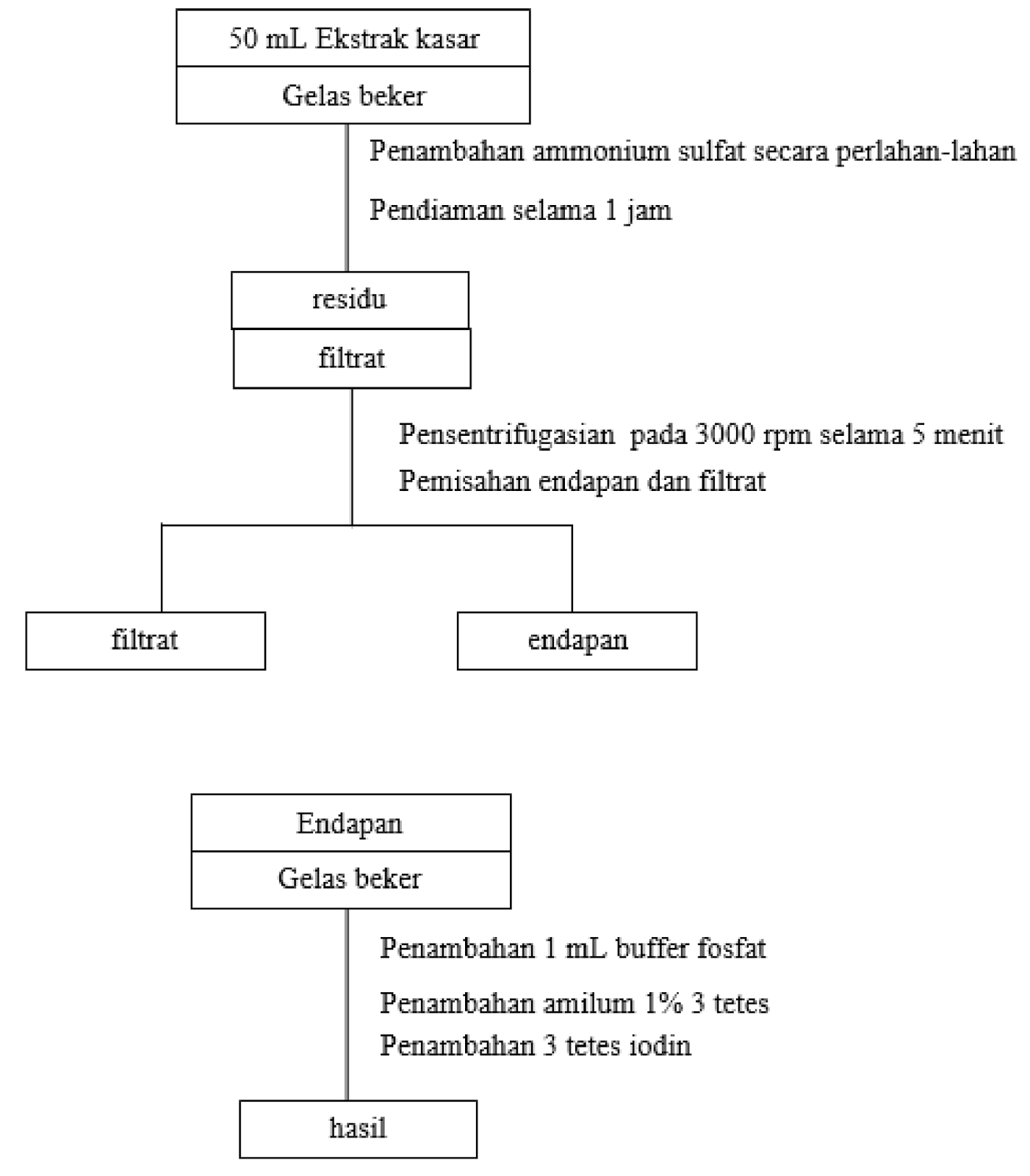 PERCOBAAN V - Pemurnian Awal Enzim Amilase ( Praktikum Biokimia ...