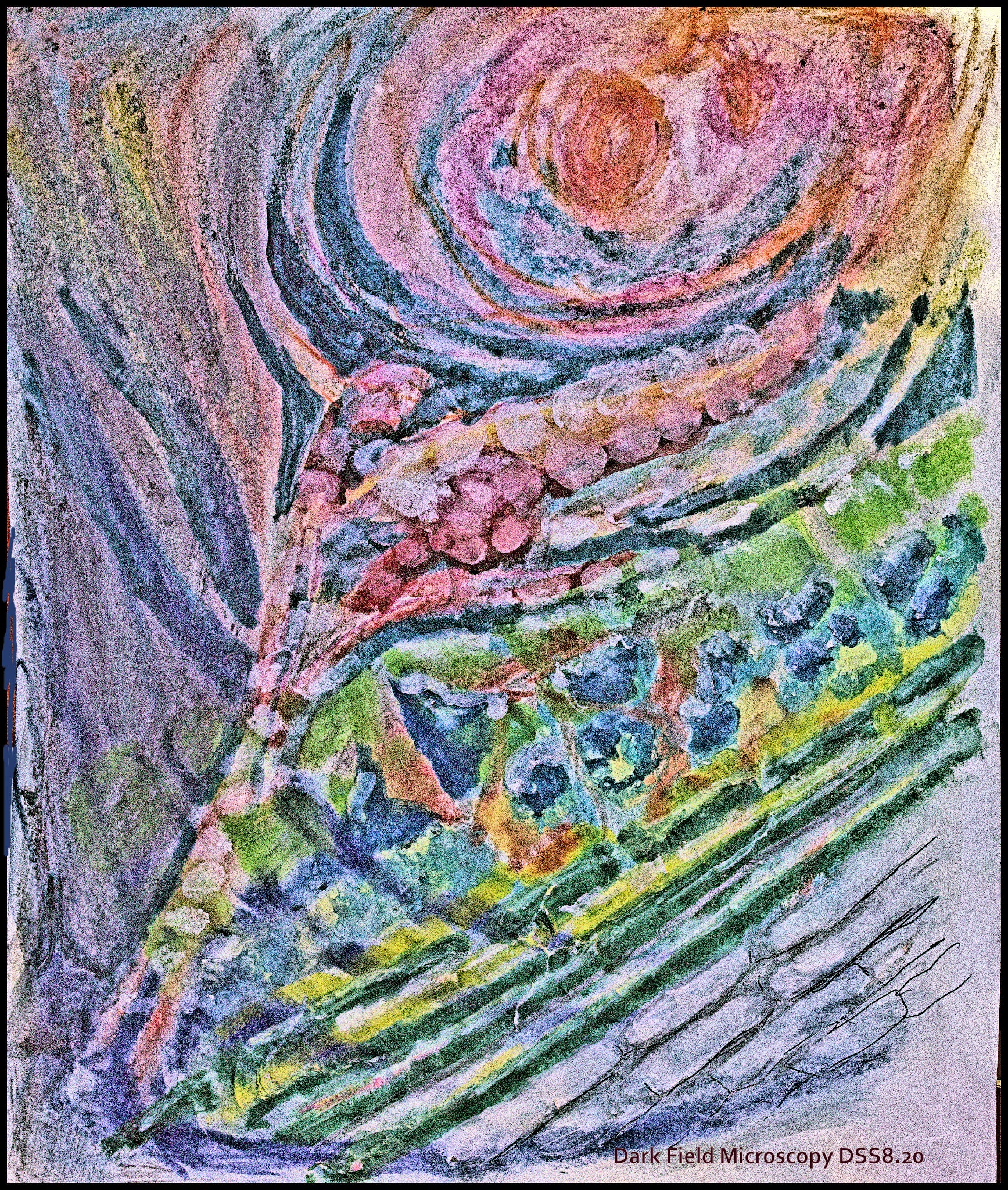 Don Schaeffer's Photos and Art: 2020