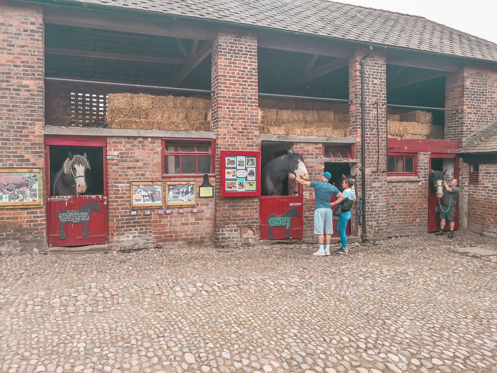 TATTON PARK - THE FARM - Hi5 the world