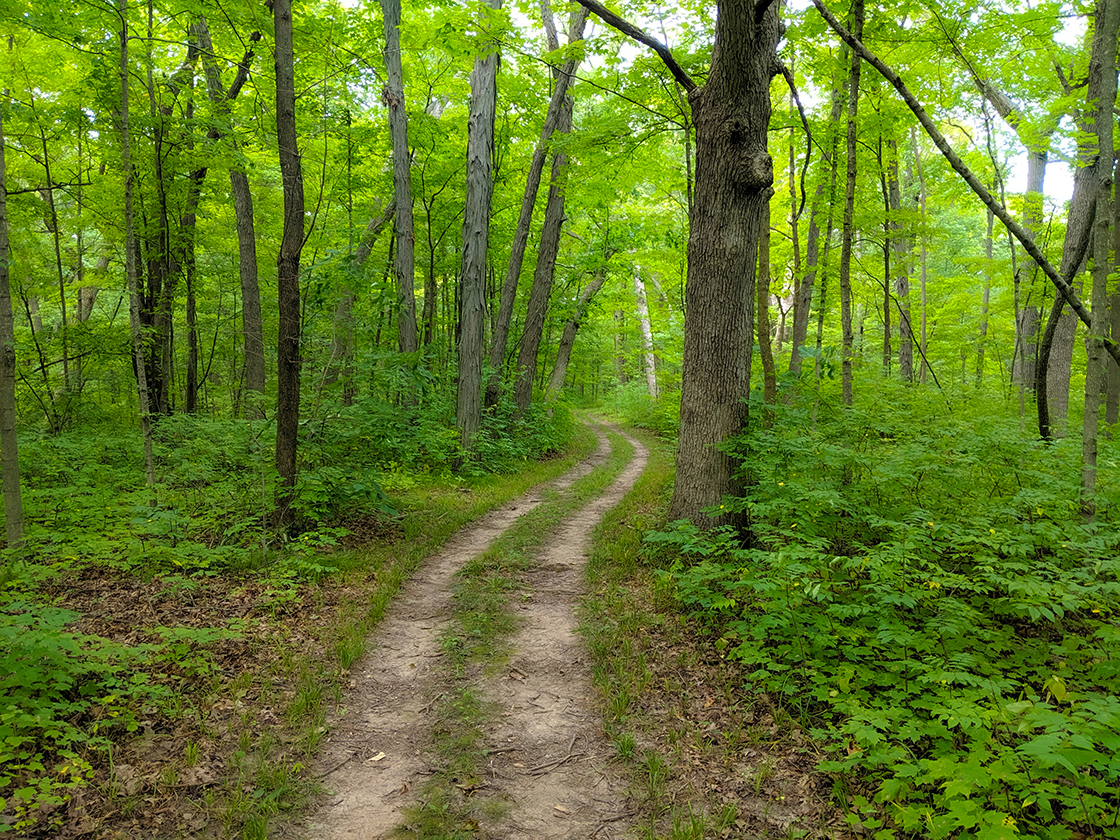 Hiking the Milwaukee River Segment of the Ice Age Trail - Washington County