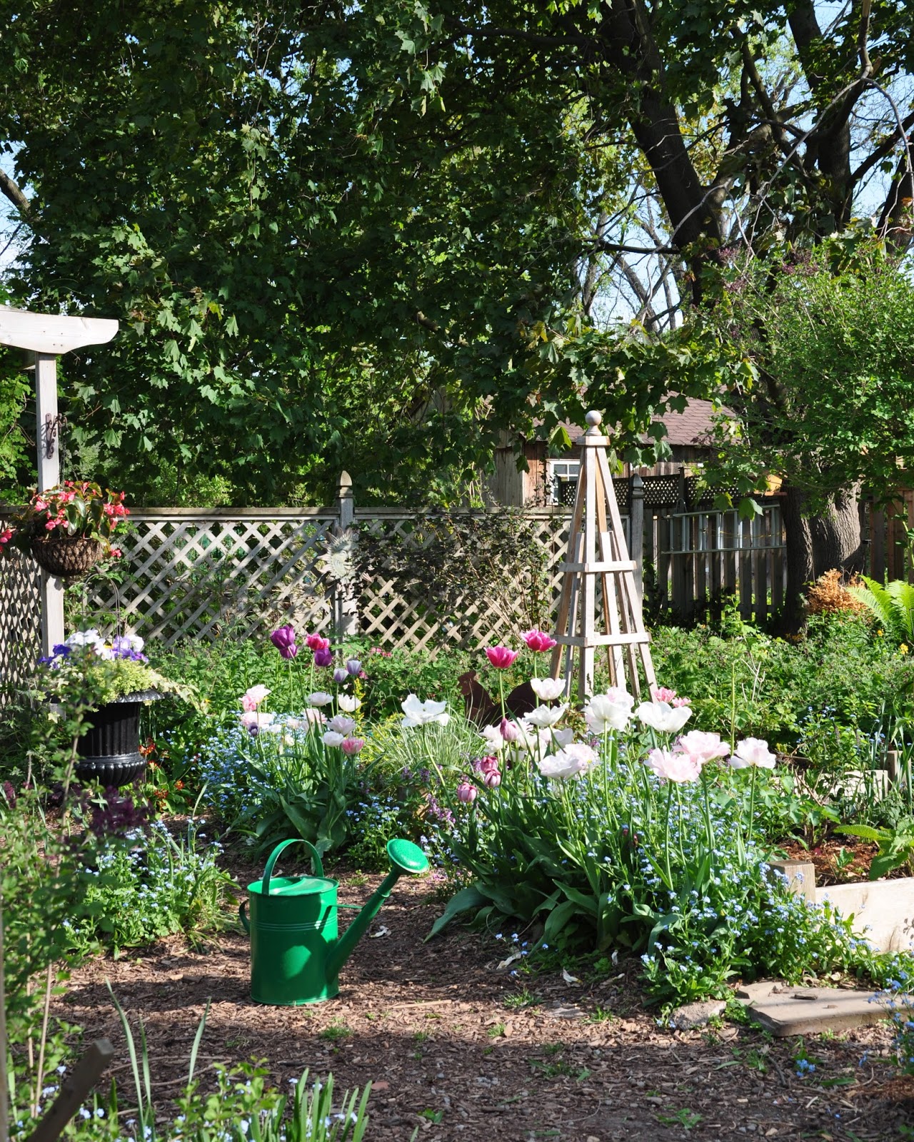 Three Dogs in a Garden: My Troubles with Landscape Cloth: Part 2