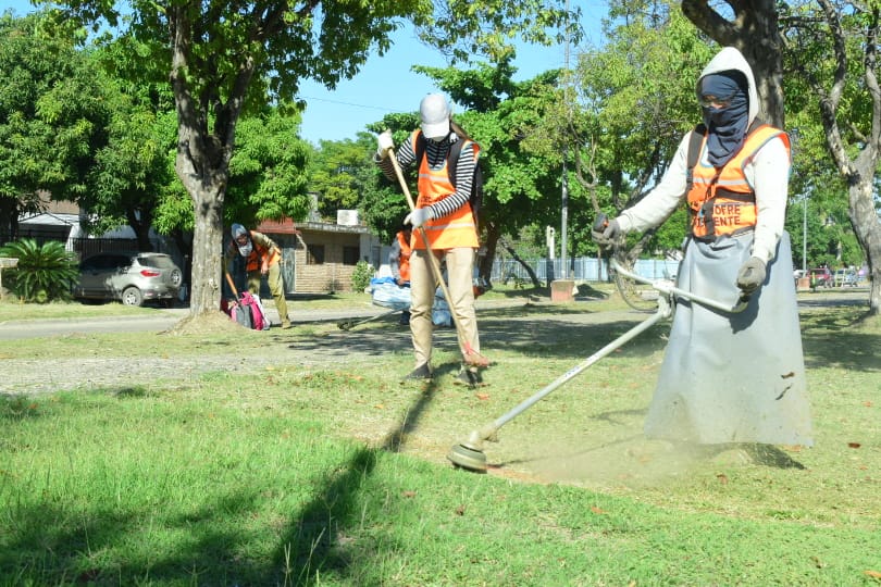 Permanentes tareas de desmalezado y jardinería en plazas, paseos y ...