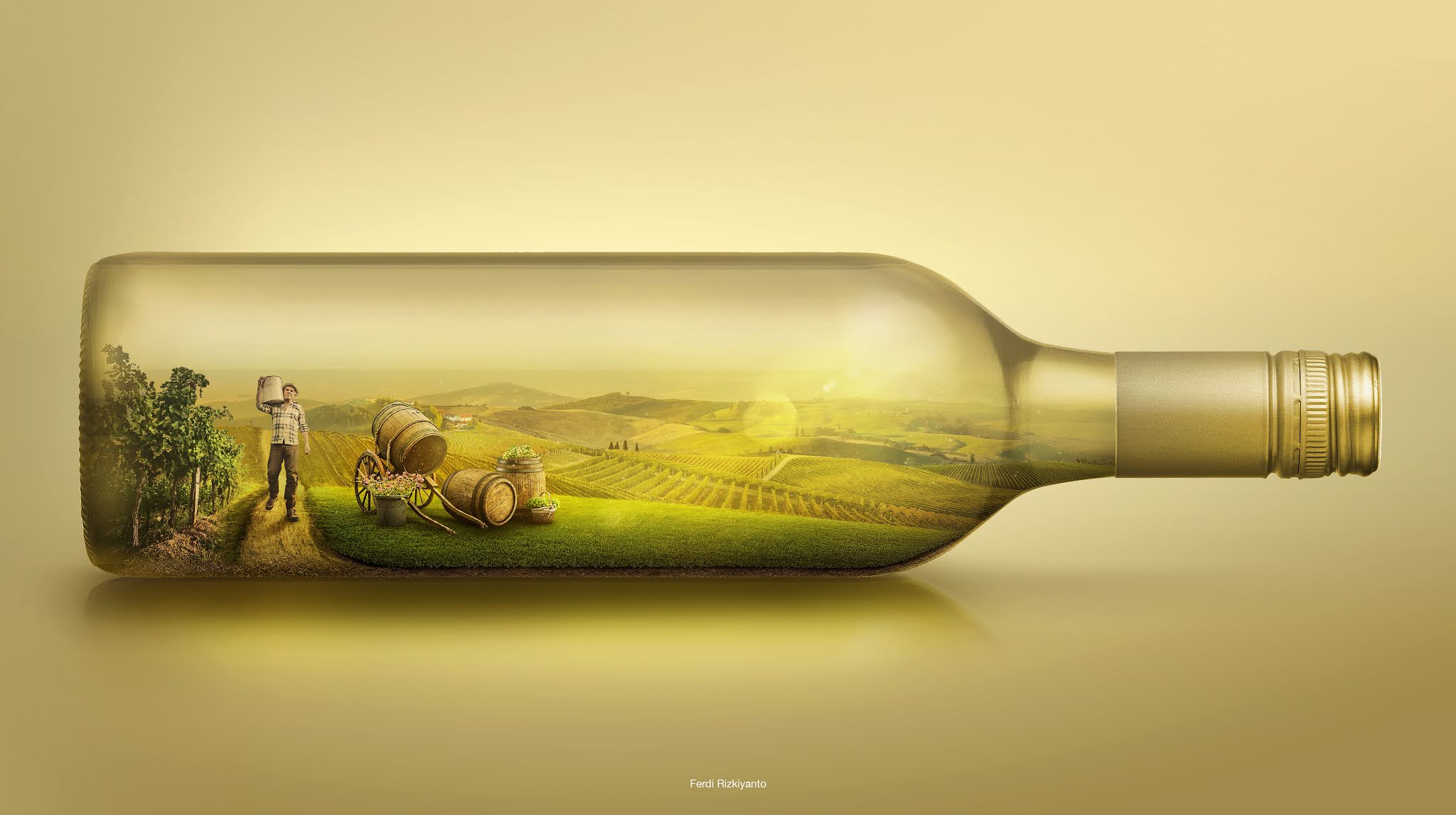 Vineyard vineyard