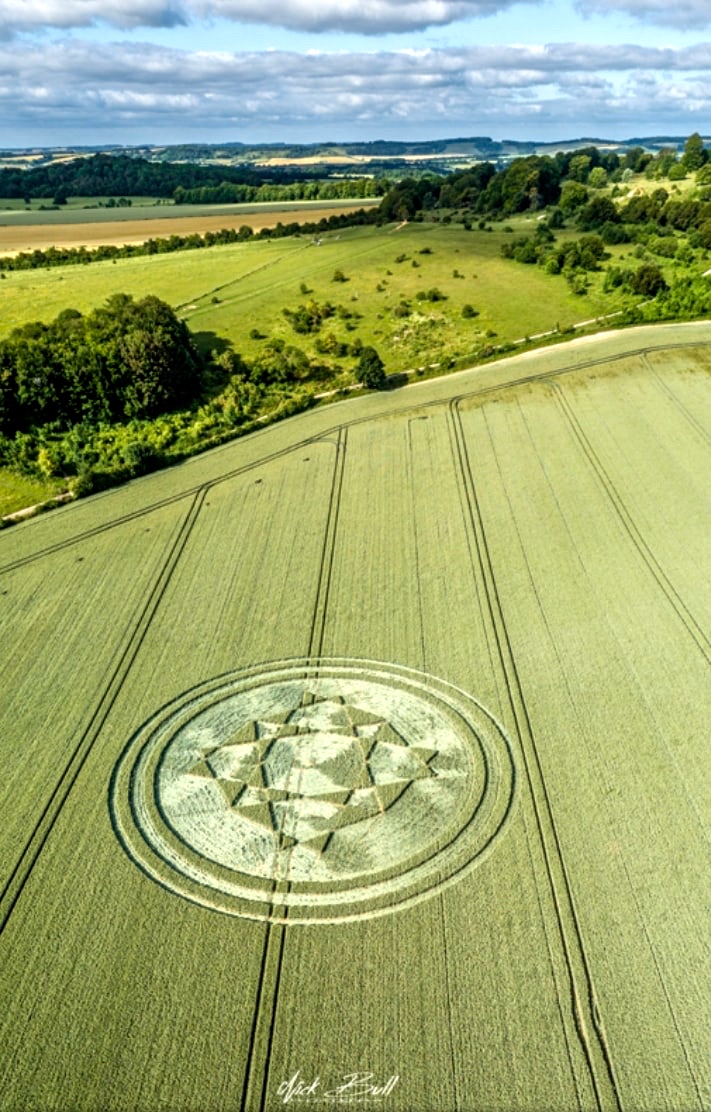 Herry's Journal: The Mystery of Crop Circles