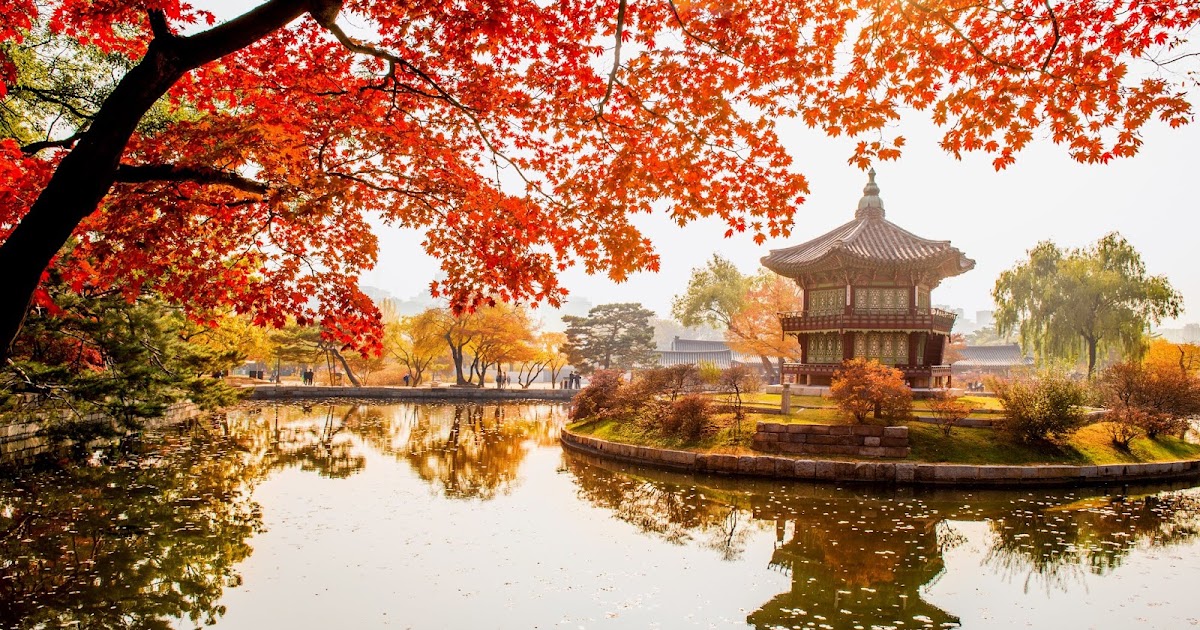 DAEGU Tourism Official Blog