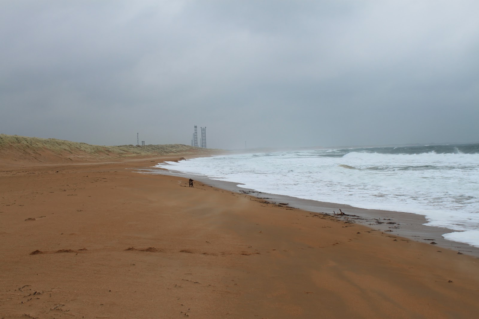 Walking in the North East of Scotland: St Fergus Beach