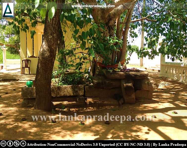 Galmaduwa Raja Maha Viharaya (Hingurana) | Lanka Pradeepa