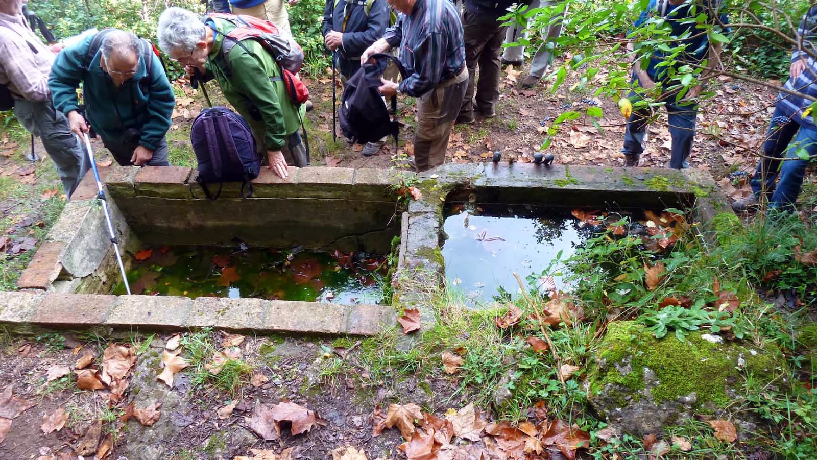 LA COLLA DELS DIMECRES: Dimecres, 23 d'octubre de 2013