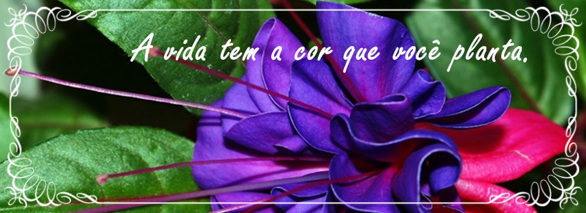 Marcia Magiarte Recadinhos : CAPA PARA FACEBOOK ( Flor)