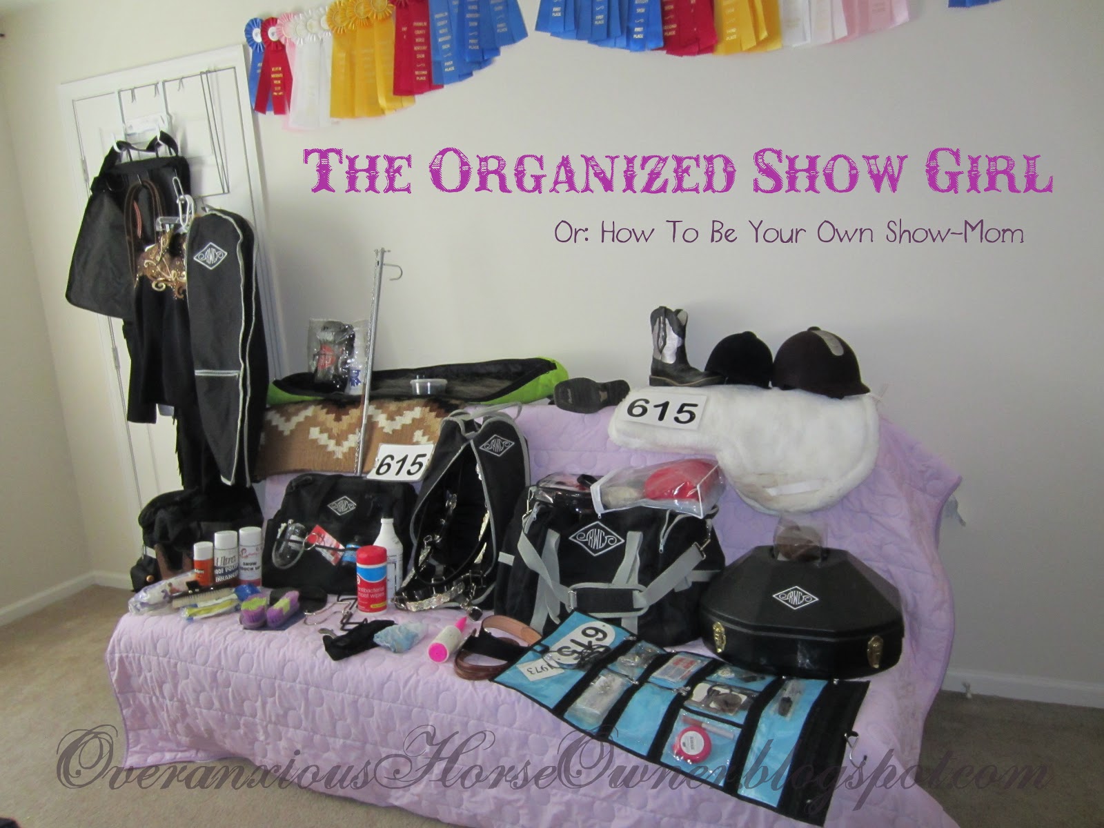 Diary of the Overanxious Horse Owner: The Organized Show Girl