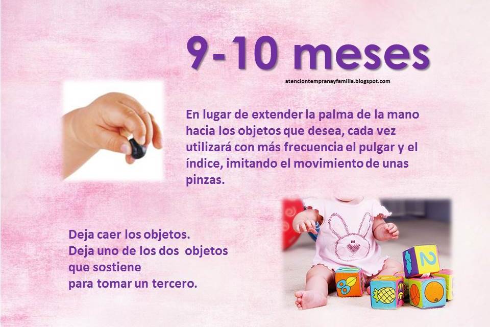 Desarrollo de las manos del bebe