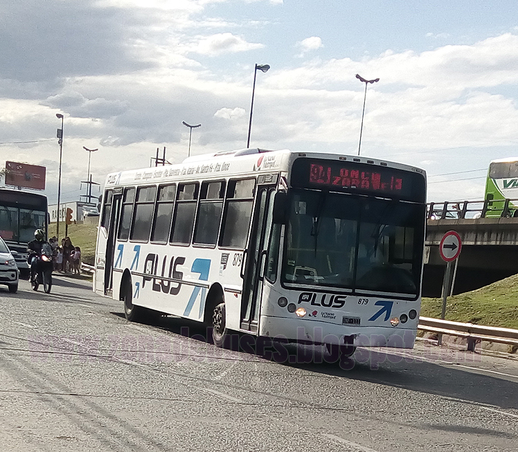 Colectibus - Zona de Buses: LINEA 194 Plus