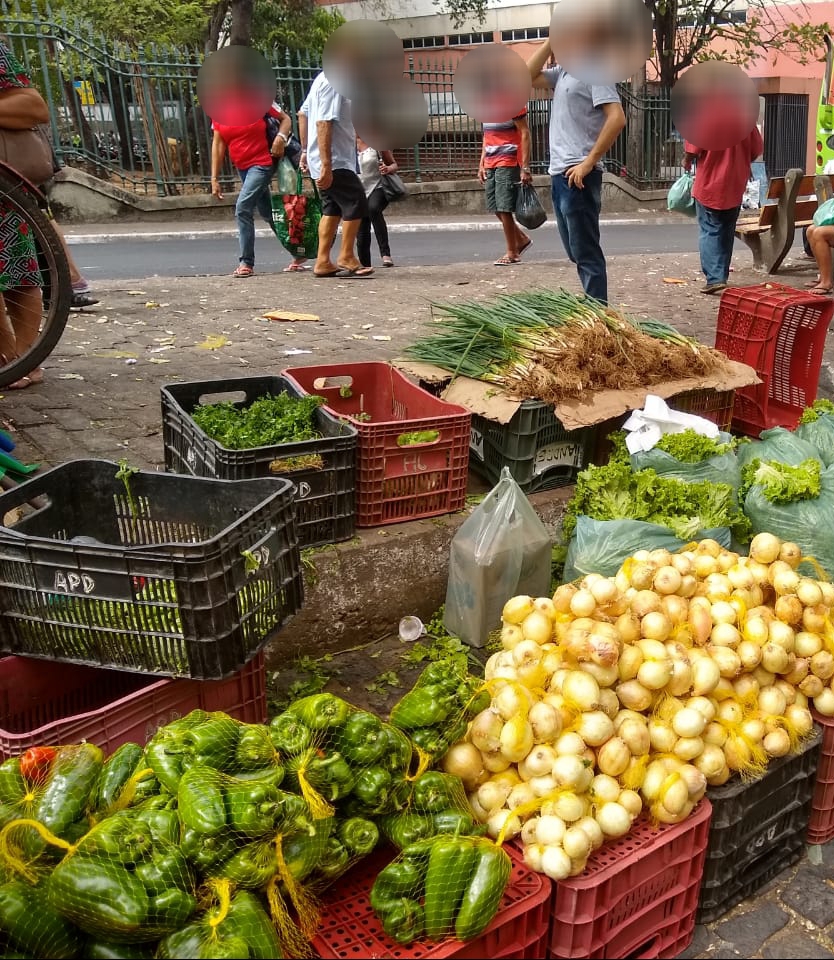 Proyecto Engloba: LOS VERDULEROS