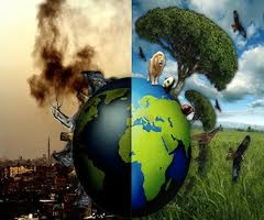 Ecologia: Deterioro ambiental