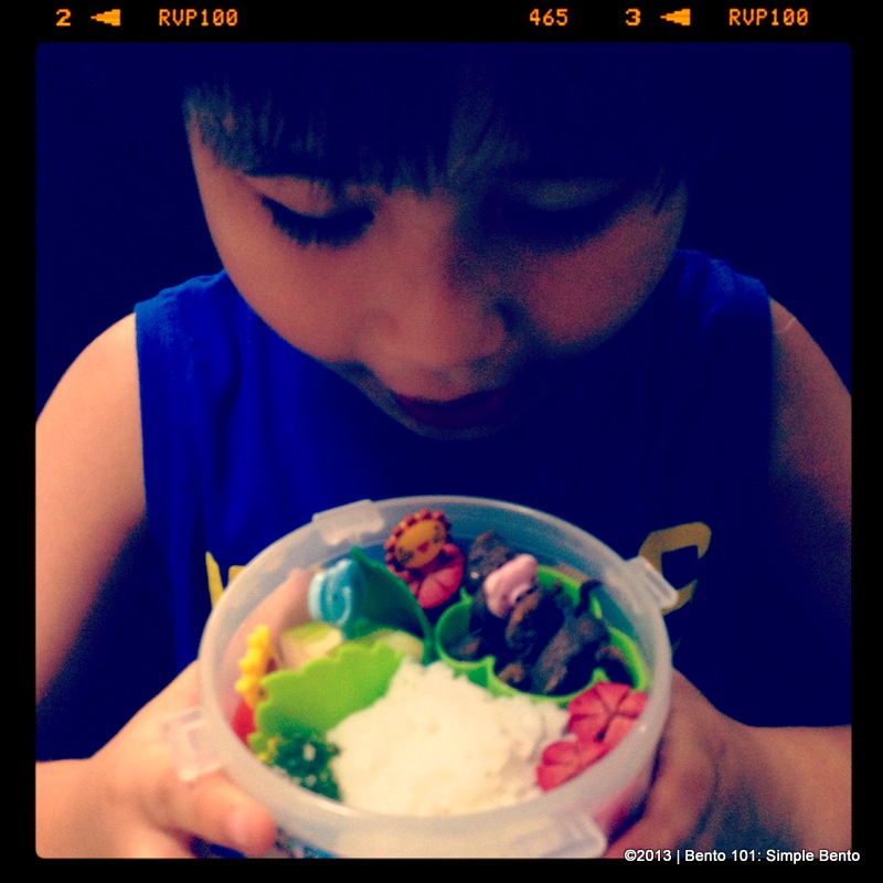 an attempt to remain sane in this insane world...: Bento 101: Simple Bento