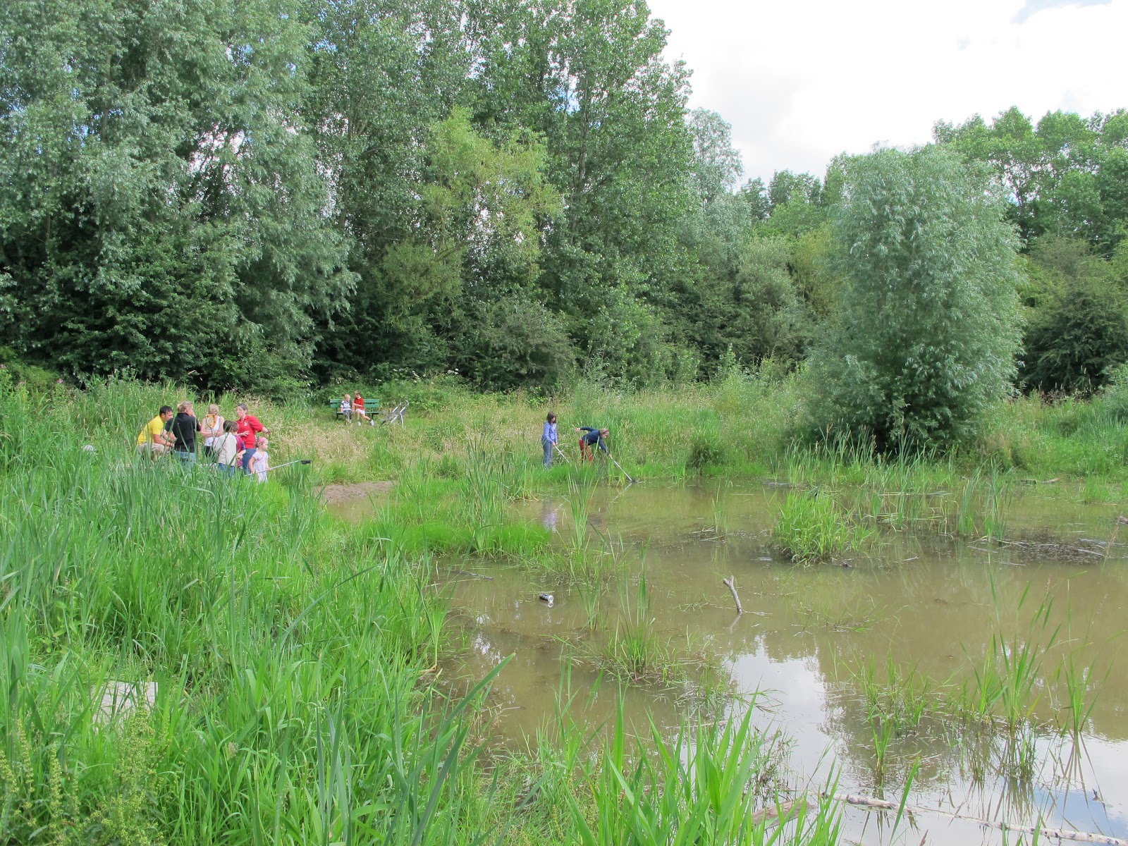 Wild at Hull: Loglands Nature Reserve