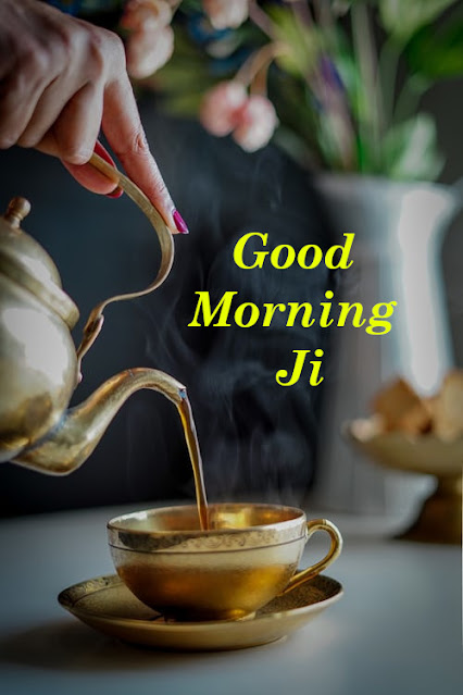 Top 10 Good Morning Ji images Photos , greetings, pictures for Whatsapp ...