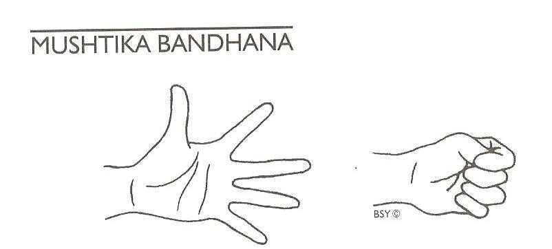 seek apropos: Essential Yoga Asanas