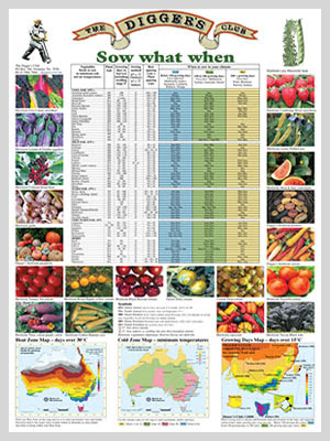 Start To Grow: Gardening Planting Guides for Australia