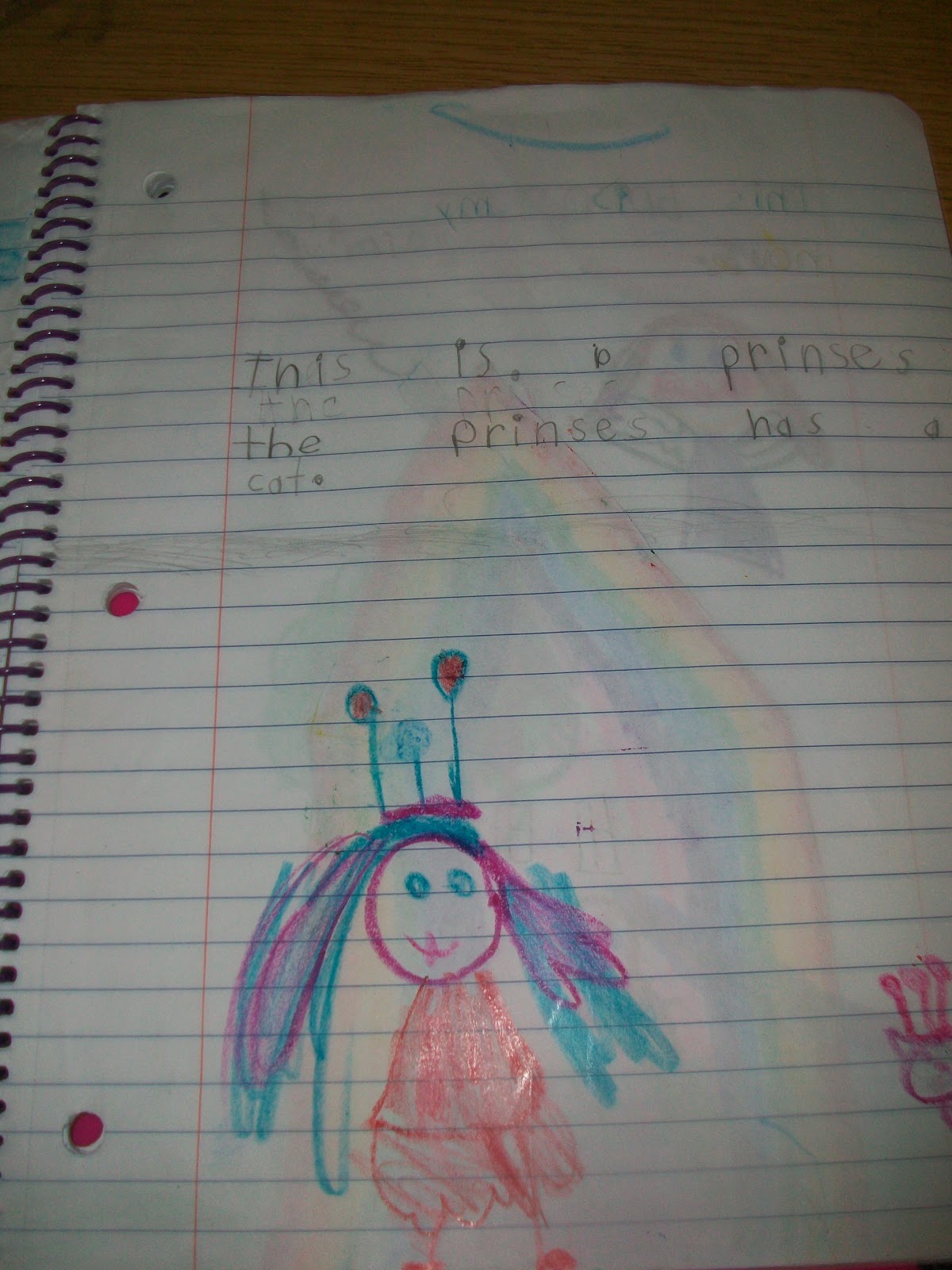 Writer's Notebooks - Sarah's Teaching Snippets