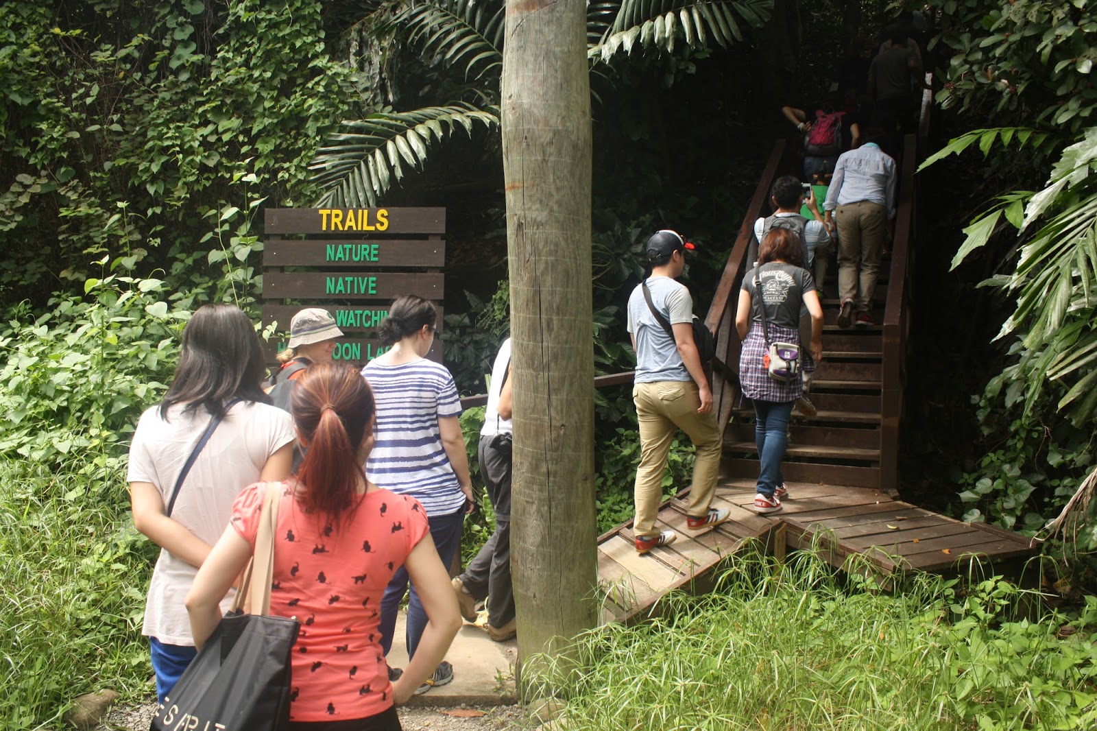 jalanjalan: Rasa Ria Nature Reserve, Sabah