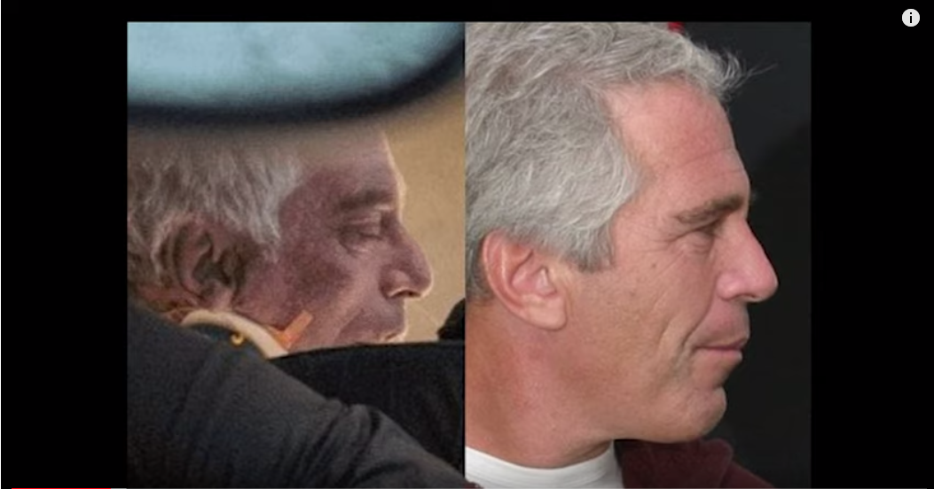 Seemorerocks: Epstein body "faked"