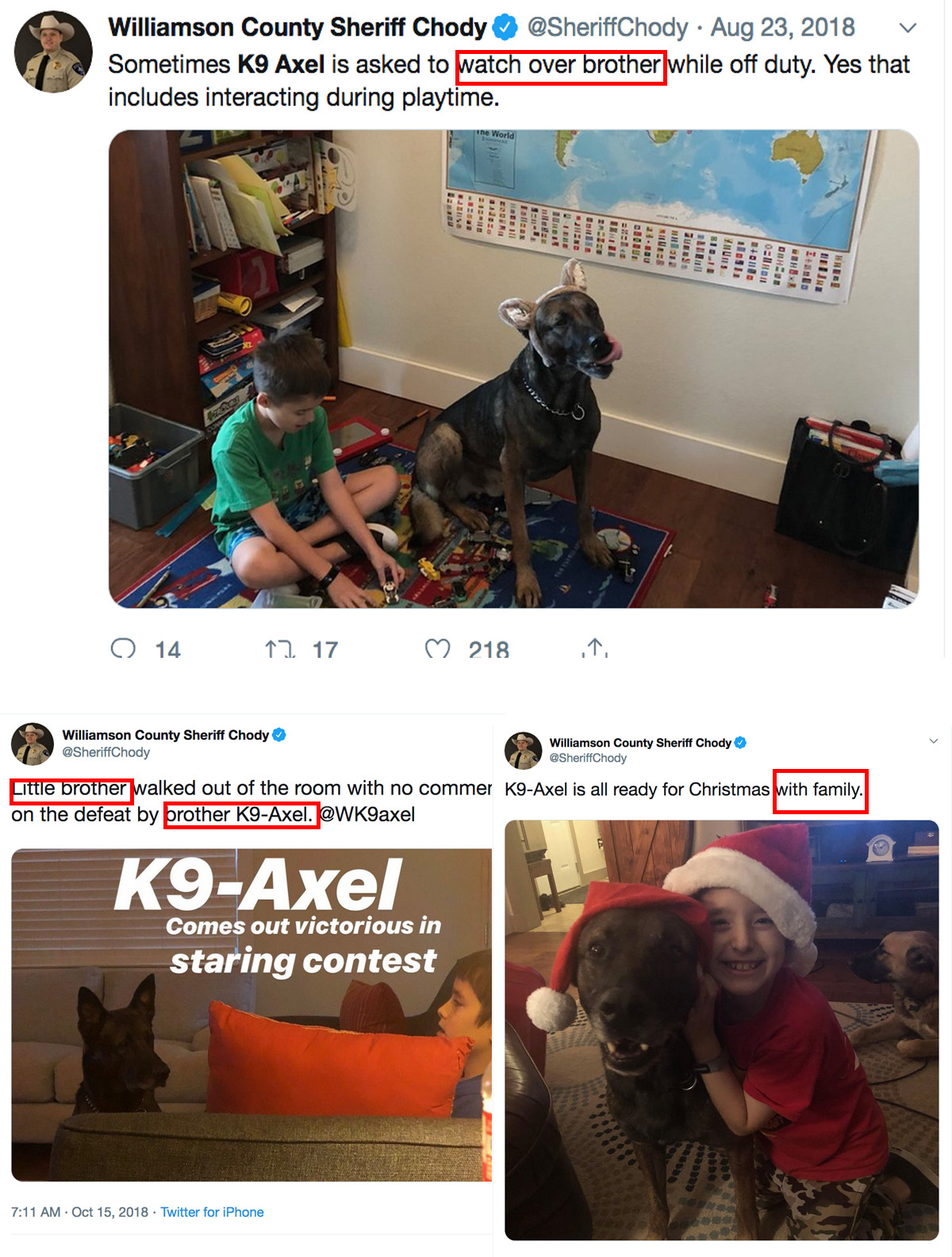 K9 Axel to be Retired - Axel's Fired WilCo K9 Handler Speaks Out ...