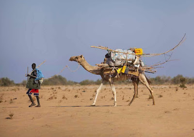 SHEEKO WASMO RUN AH ( nin geel jira ahaa)