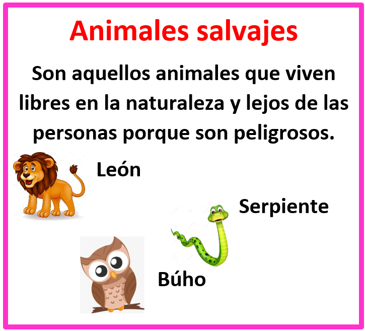 Animales domésticos y salvajes